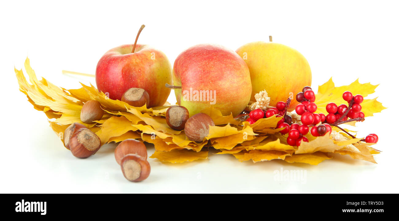Autumn harvest composition apples Cut Out Stock Images & Pictures - Alamy