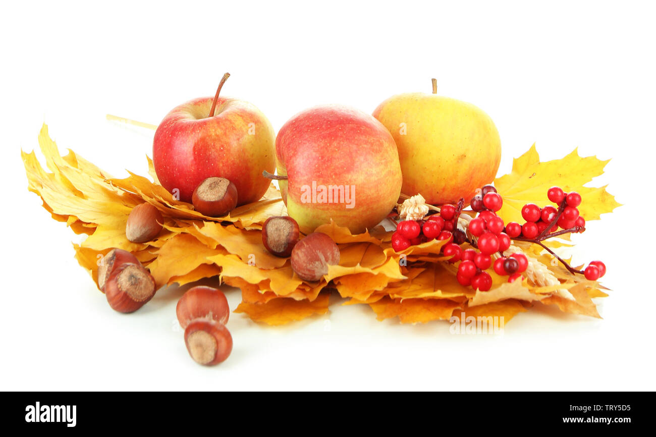 Autumn harvest composition apples Cut Out Stock Images & Pictures - Alamy