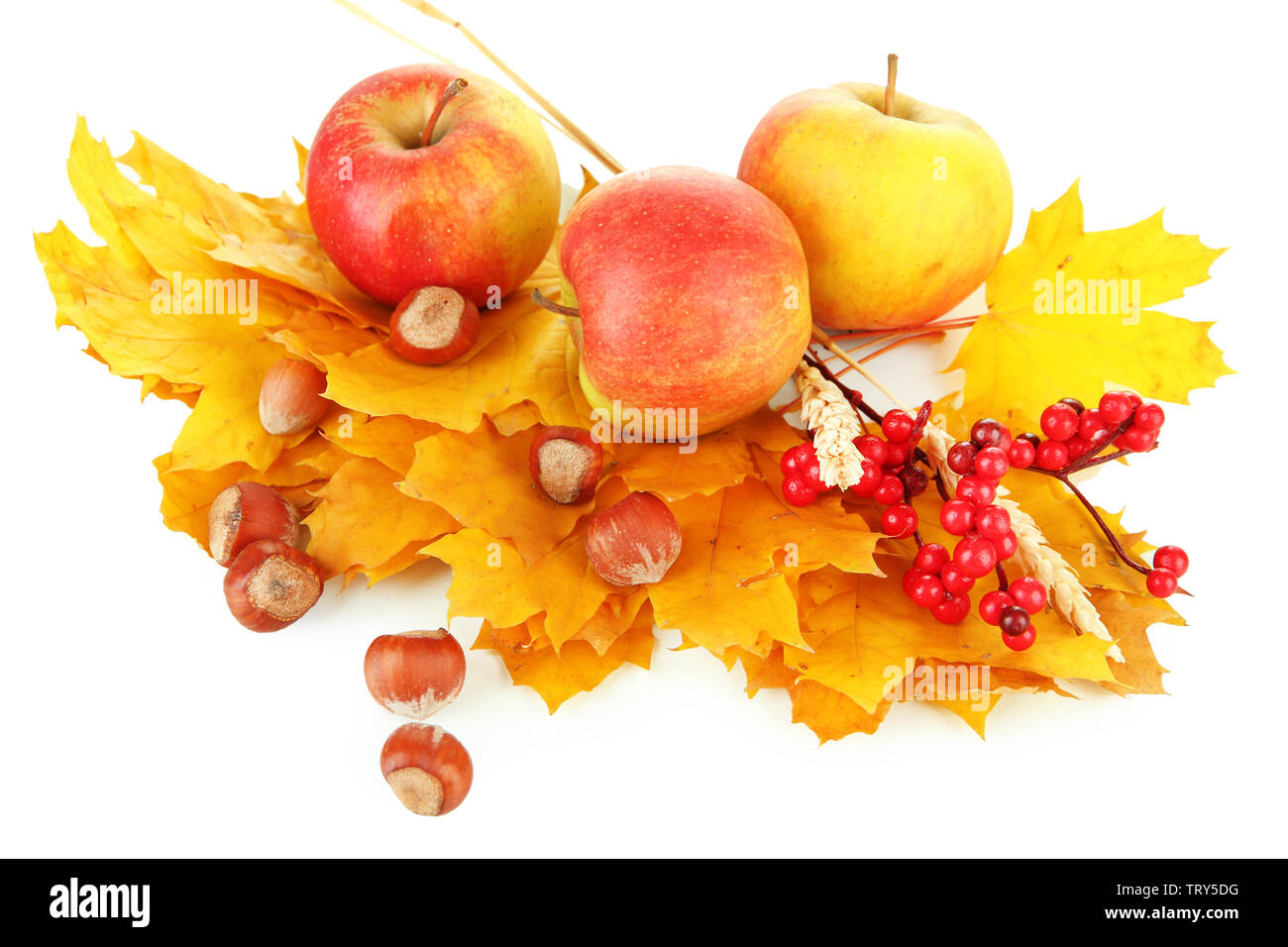 Autumn harvest composition apples Cut Out Stock Images & Pictures - Alamy