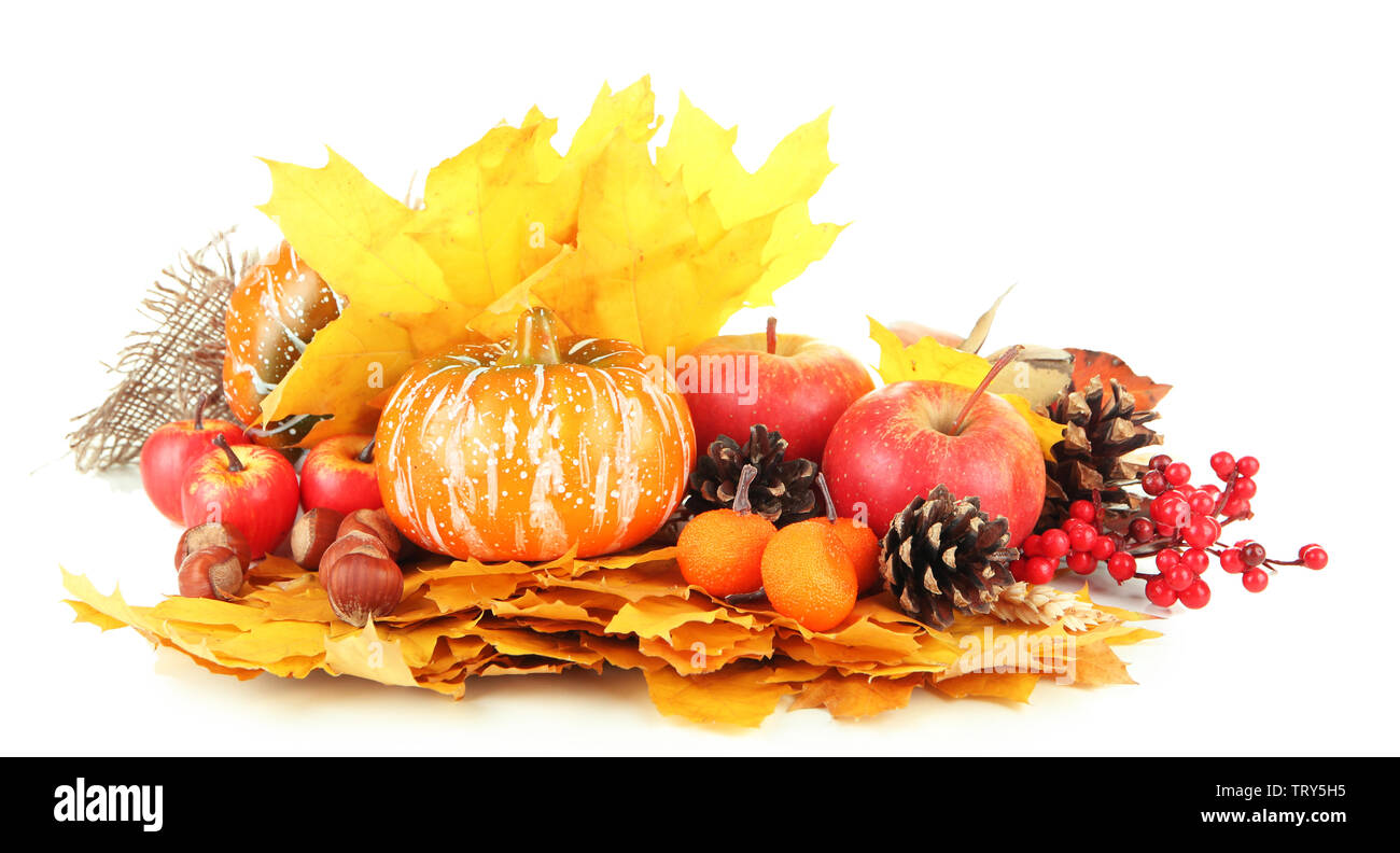 Beautiful autumn composition, isolated on white Stock Photo - Alamy