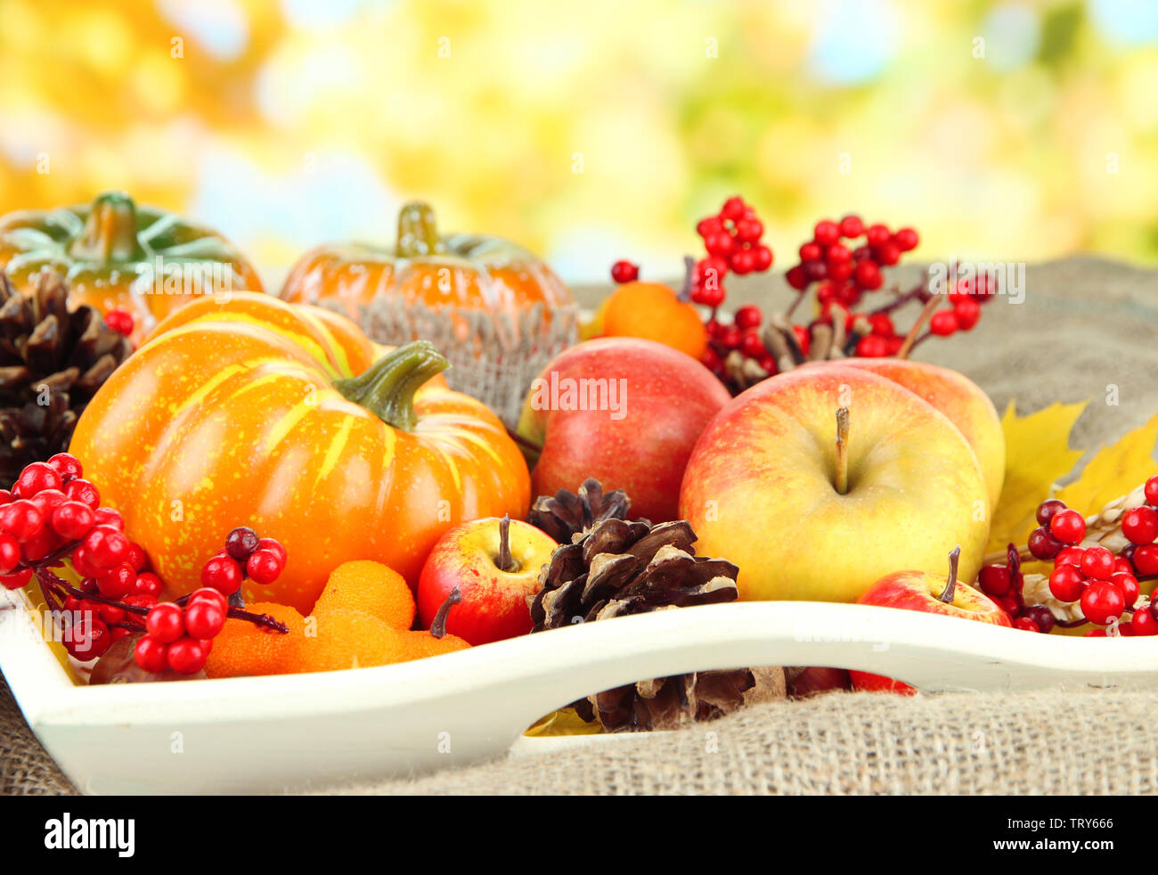 Beautiful autumn composition, on nature background Stock Photo - Alamy