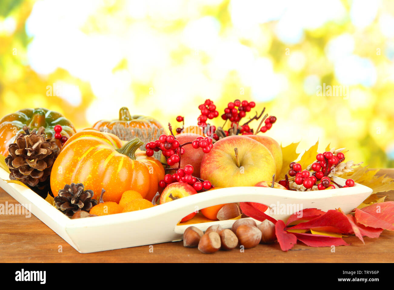 Beautiful autumn composition, on nature background Stock Photo - Alamy