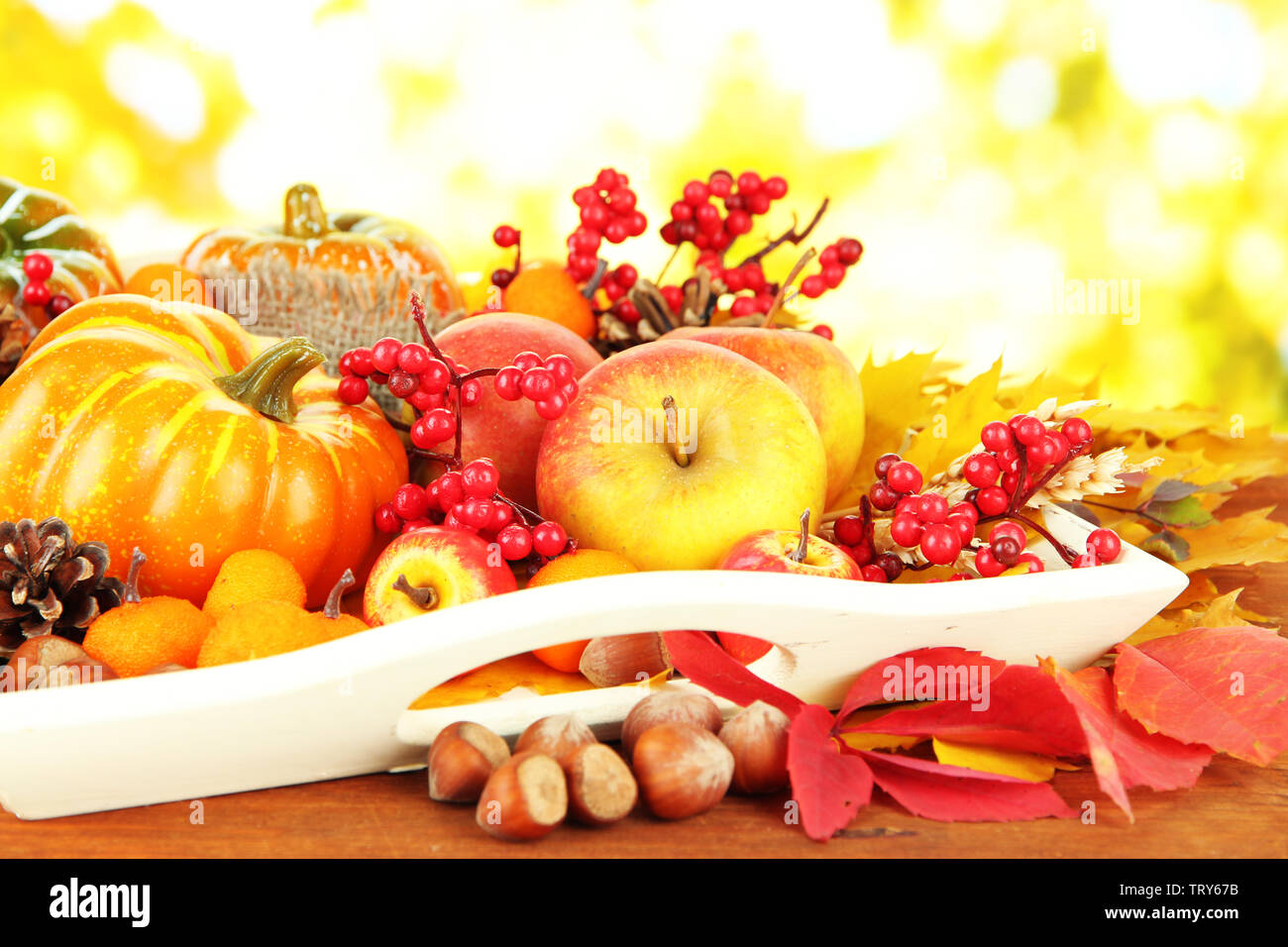 Beautiful autumn composition, on nature background Stock Photo - Alamy