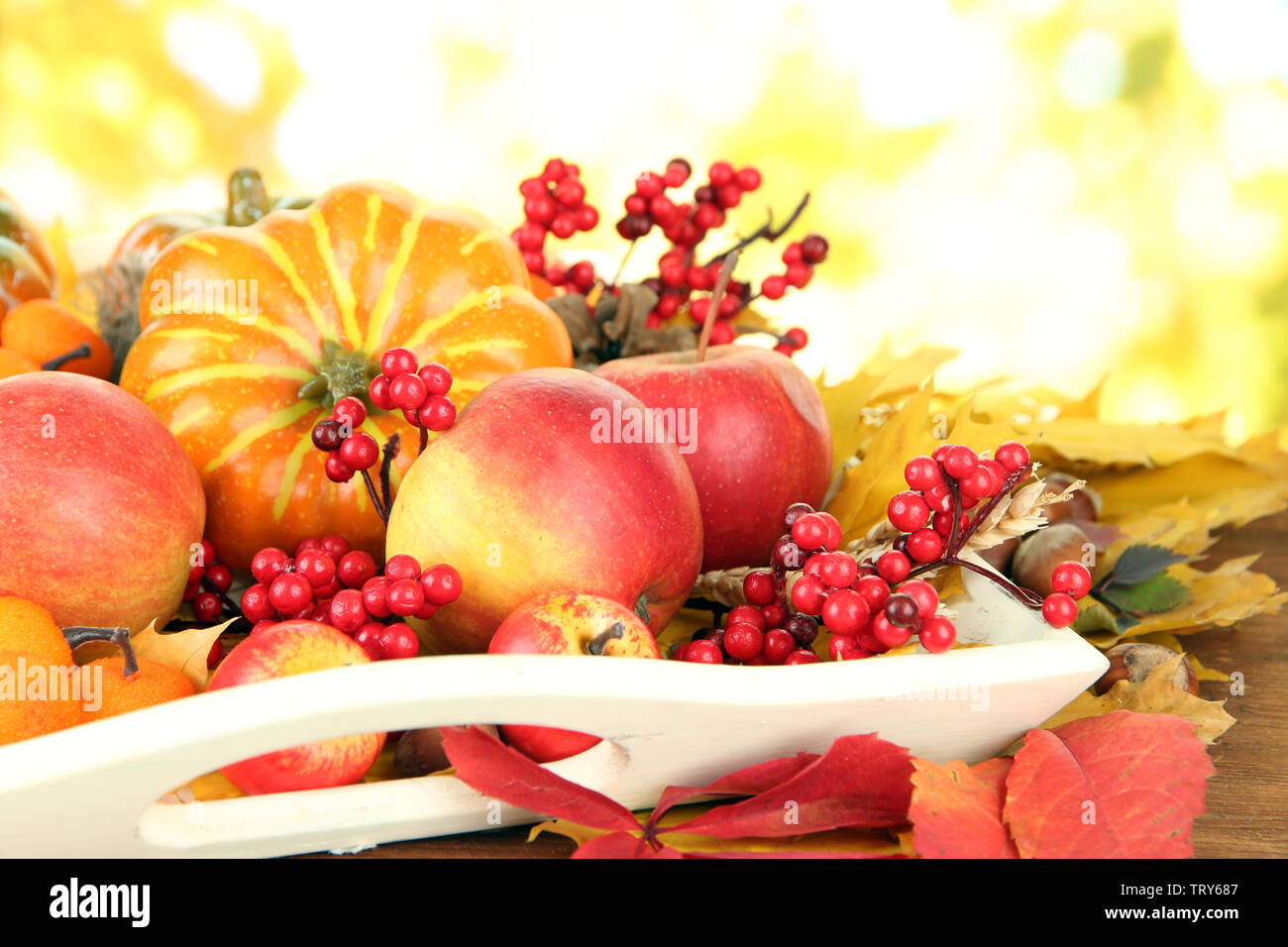 Beautiful autumn composition, on nature background Stock Photo - Alamy