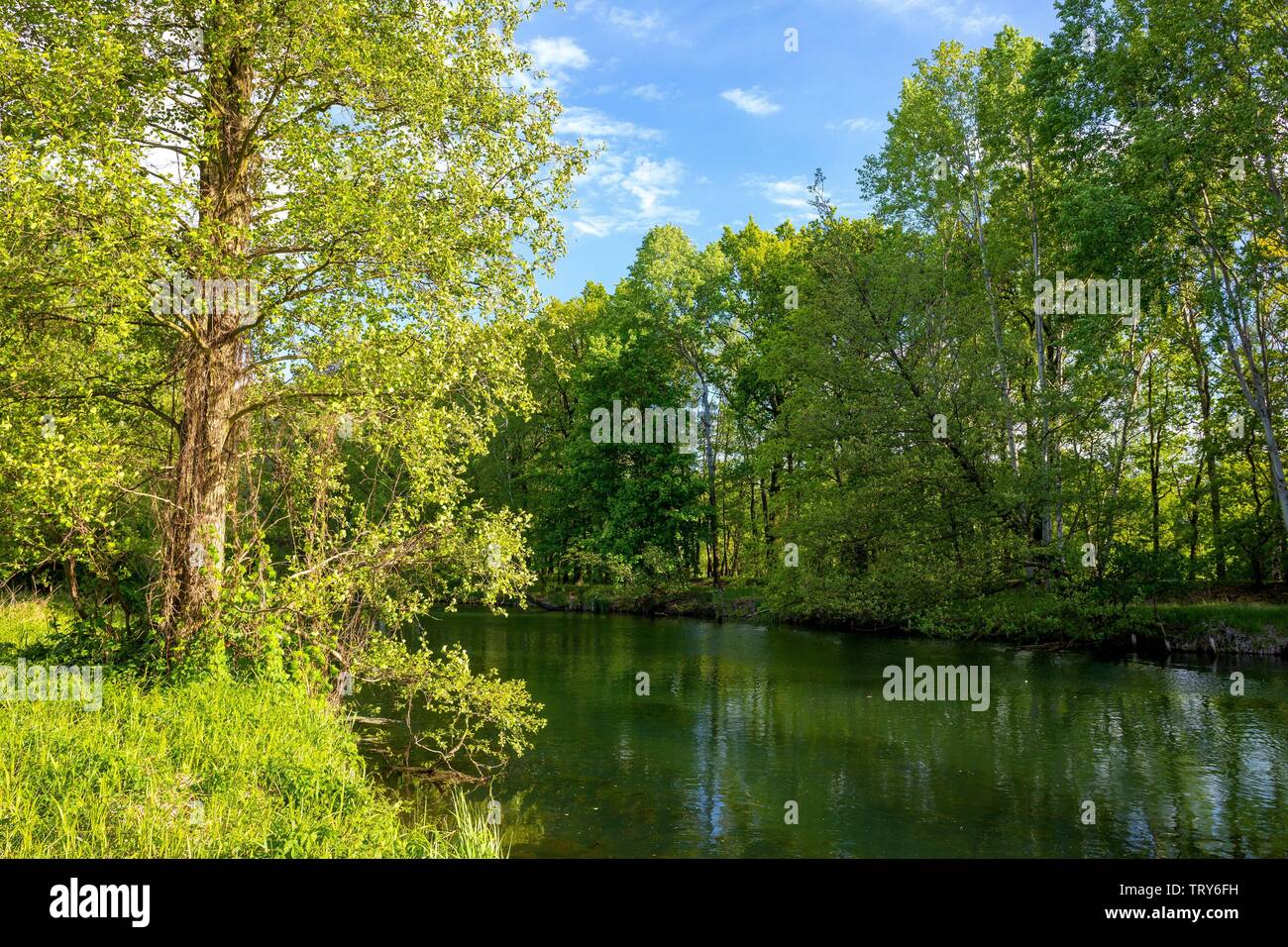 Spree river near Cottbus (Kiekebusch, Brandenburg) 13 May 2019 | usage ...