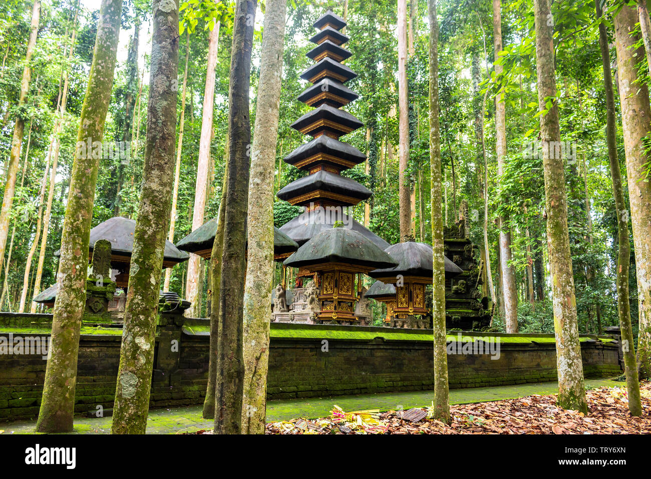 A temple in the Monkey forest, Bali, Indonesia Stock Photo - Alamy