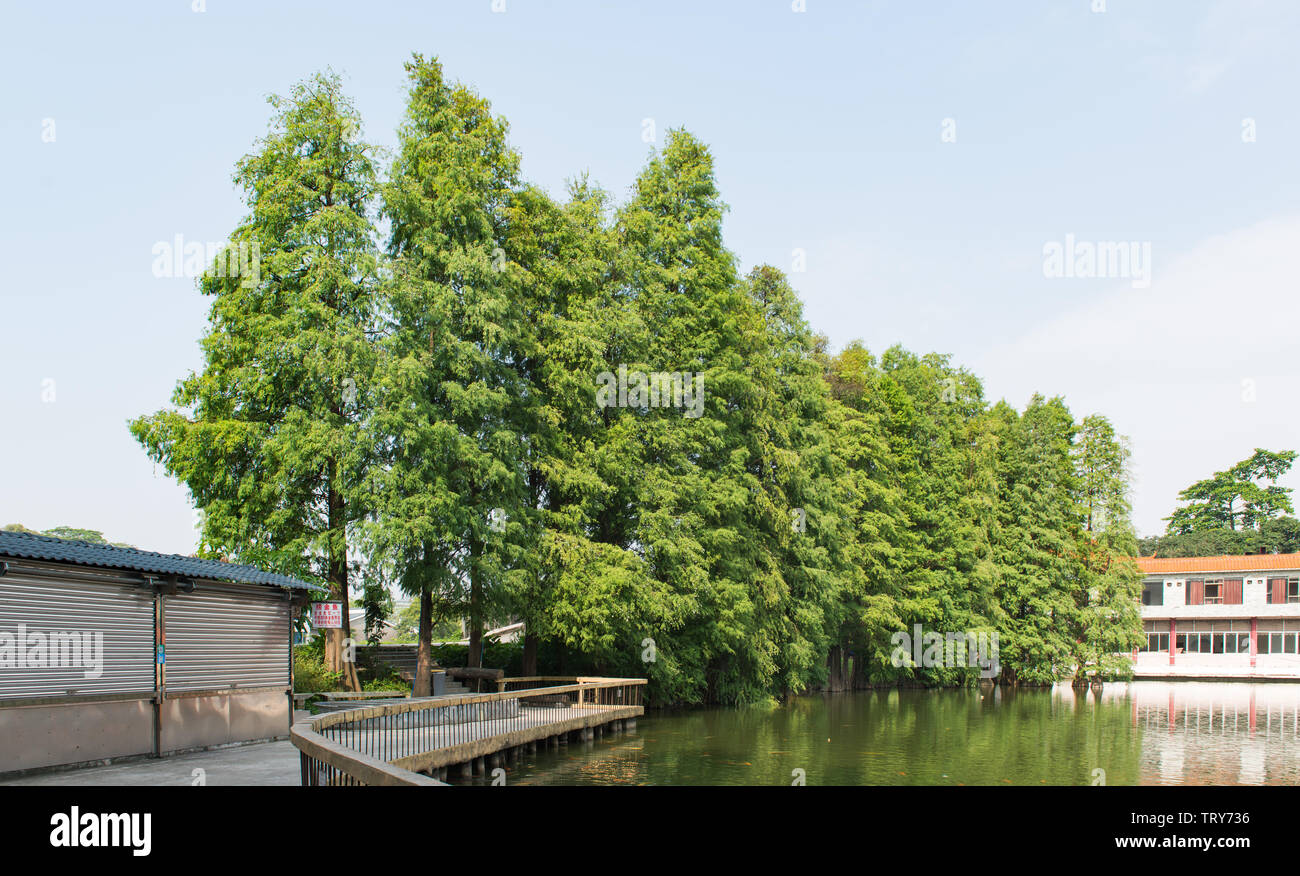 Spring, sunny weather, natural landscape inside the South China ...