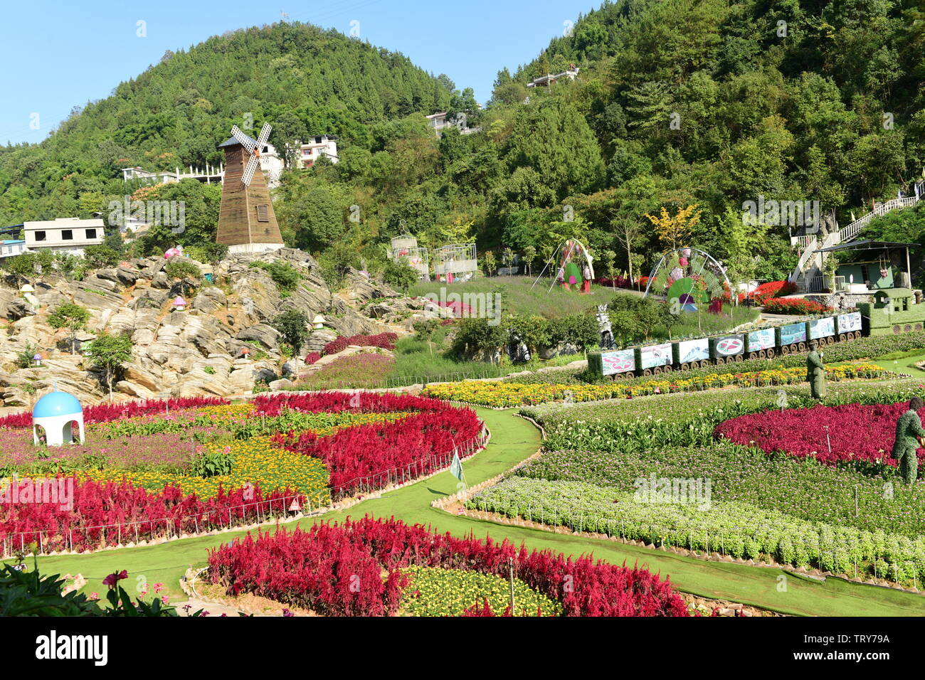 Flower sea scenery Stock Photo - Alamy