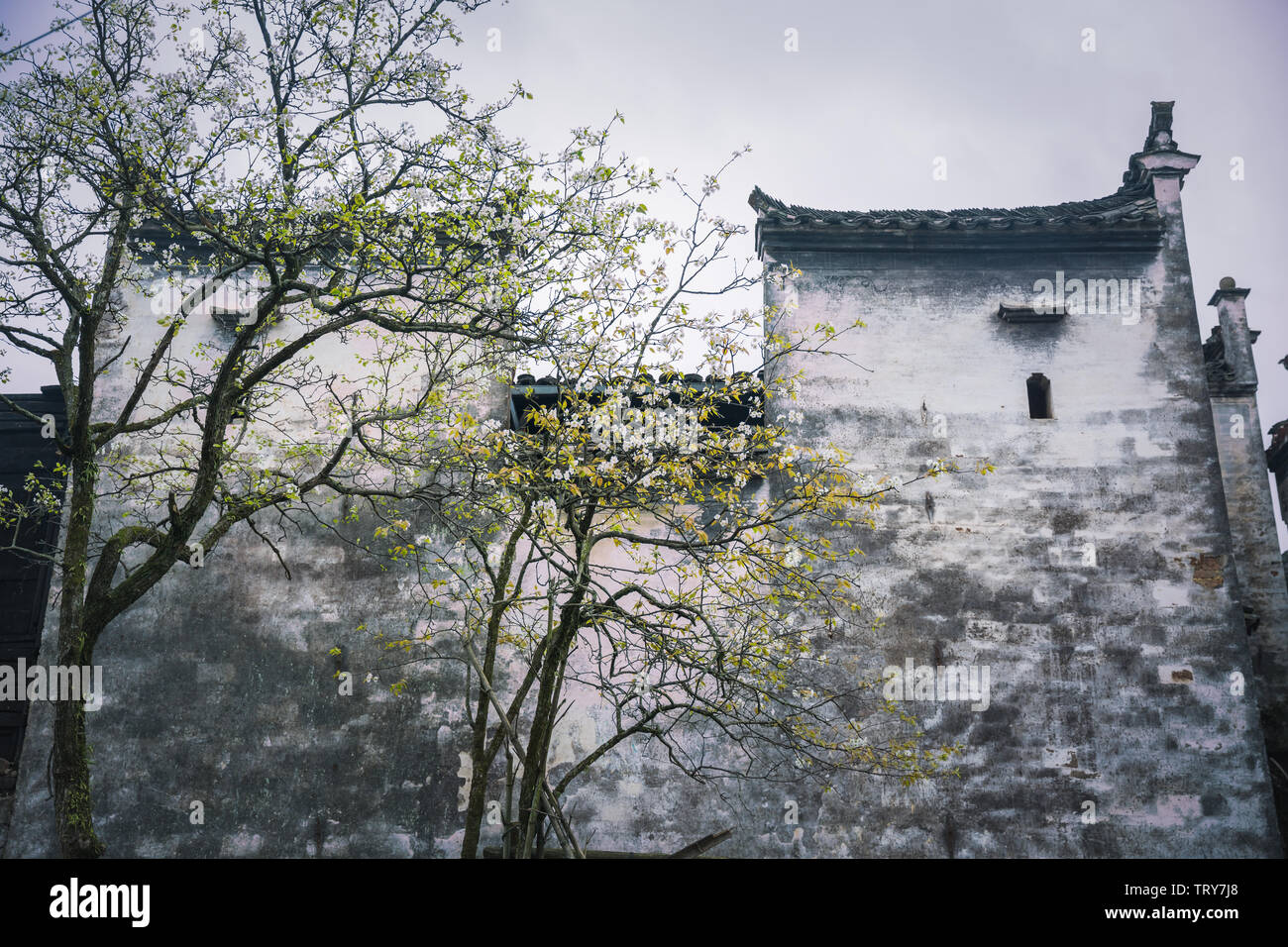 Damei scenery map Stock Photo - Alamy