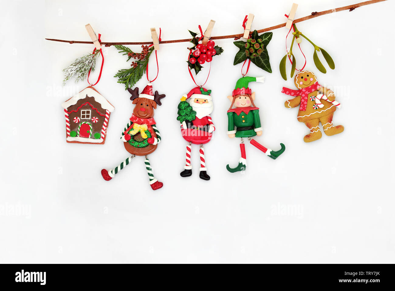 Christmas decorations hanging on a branch with winter flora and baubles ...