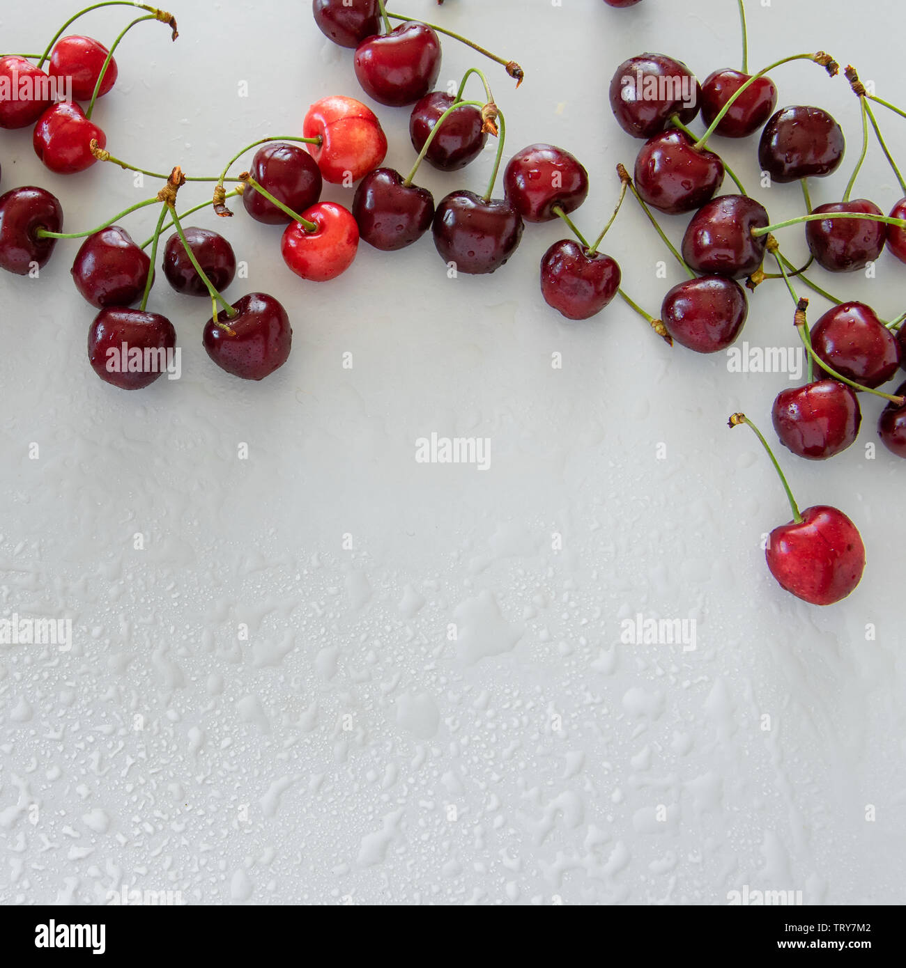 Top view of raw cherries on white background, space for text Stock ...