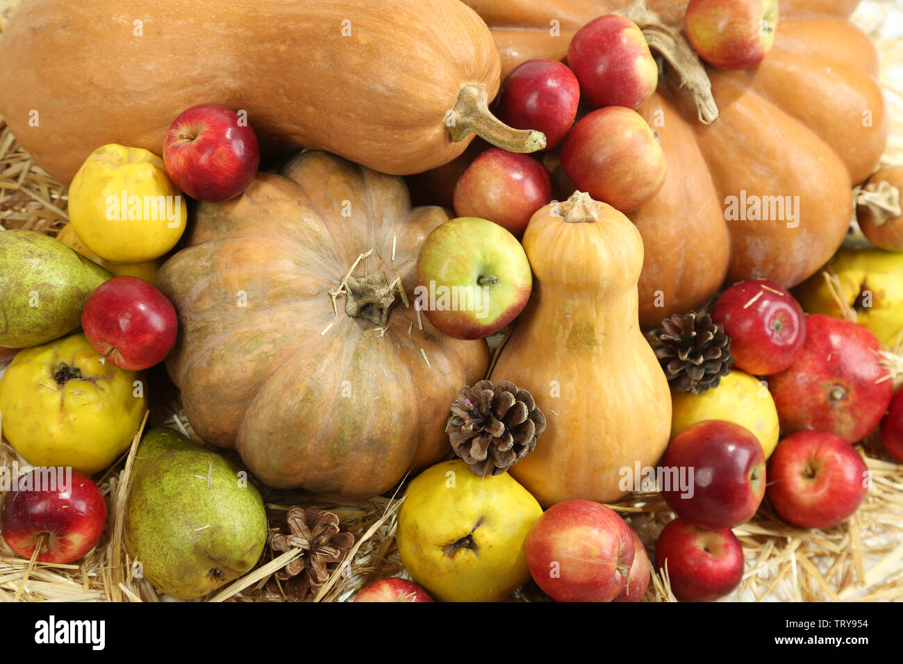 Fruits vegetable round frame hi-res stock photography and images - Alamy
