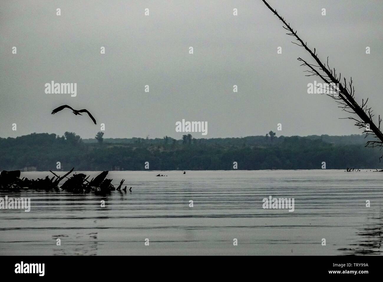 Mallows Bay, Maryland USA The ghost fleet of Mallows Bay, a collection ...
