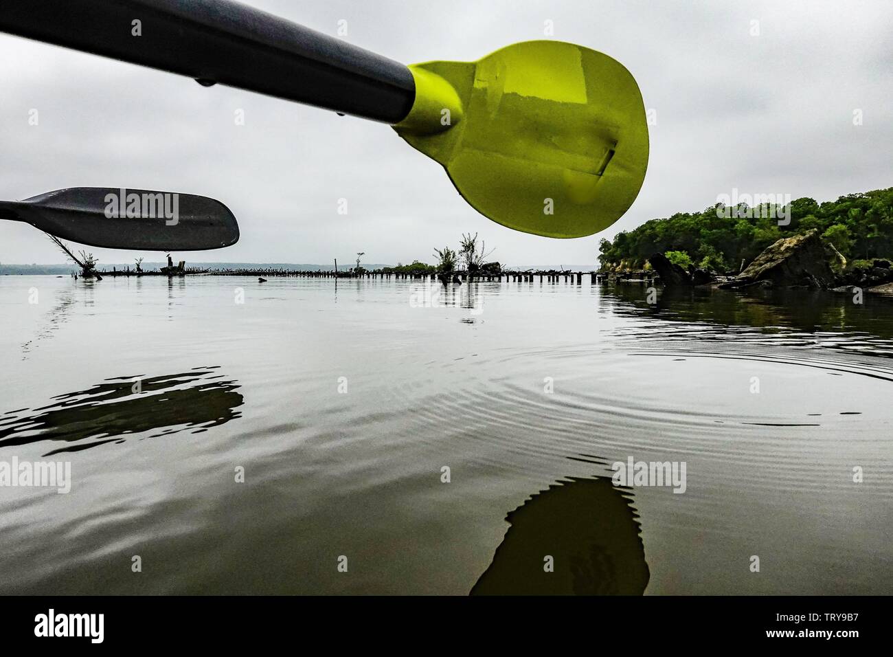 Mallows Bay, Maryland USA The ghost fleet of Mallows Bay, a collection ...