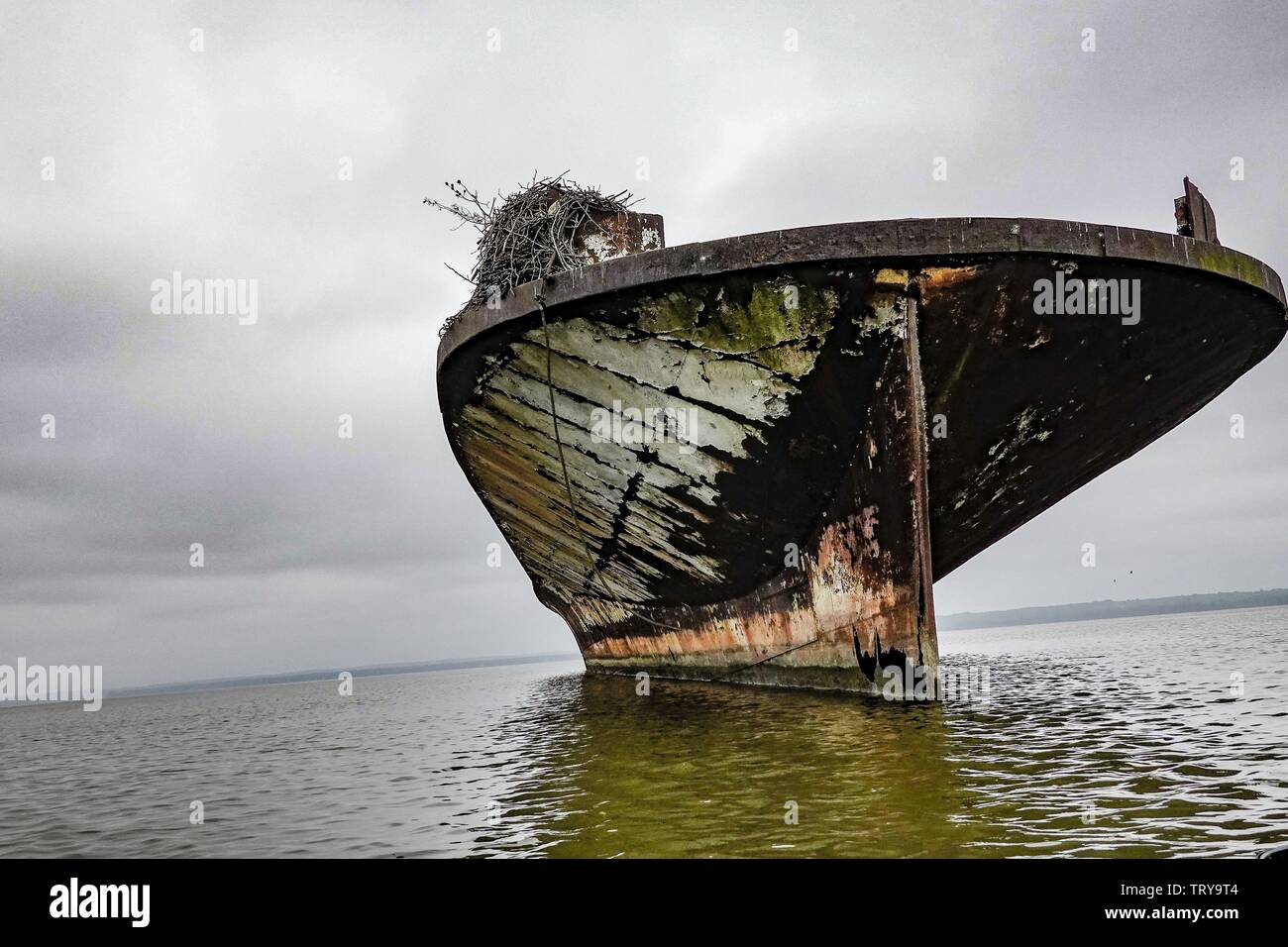 Mallows Bay, Maryland USA The ghost fleet of Mallows Bay, a collection ...