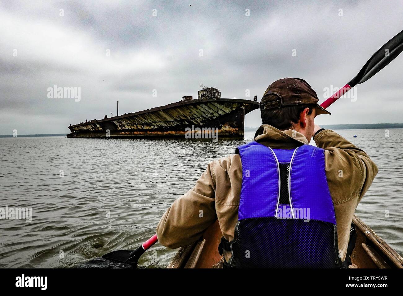 Mallows Bay, Maryland USA A young man canoeing through the ghost fleet ...
