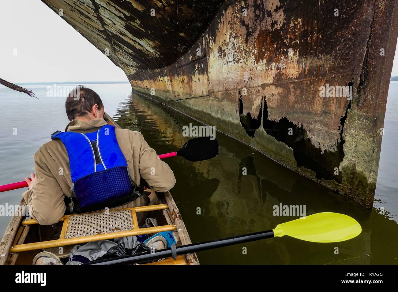 Mallows Bay, Maryland USA A young man canoeing through the ghost fleet ...