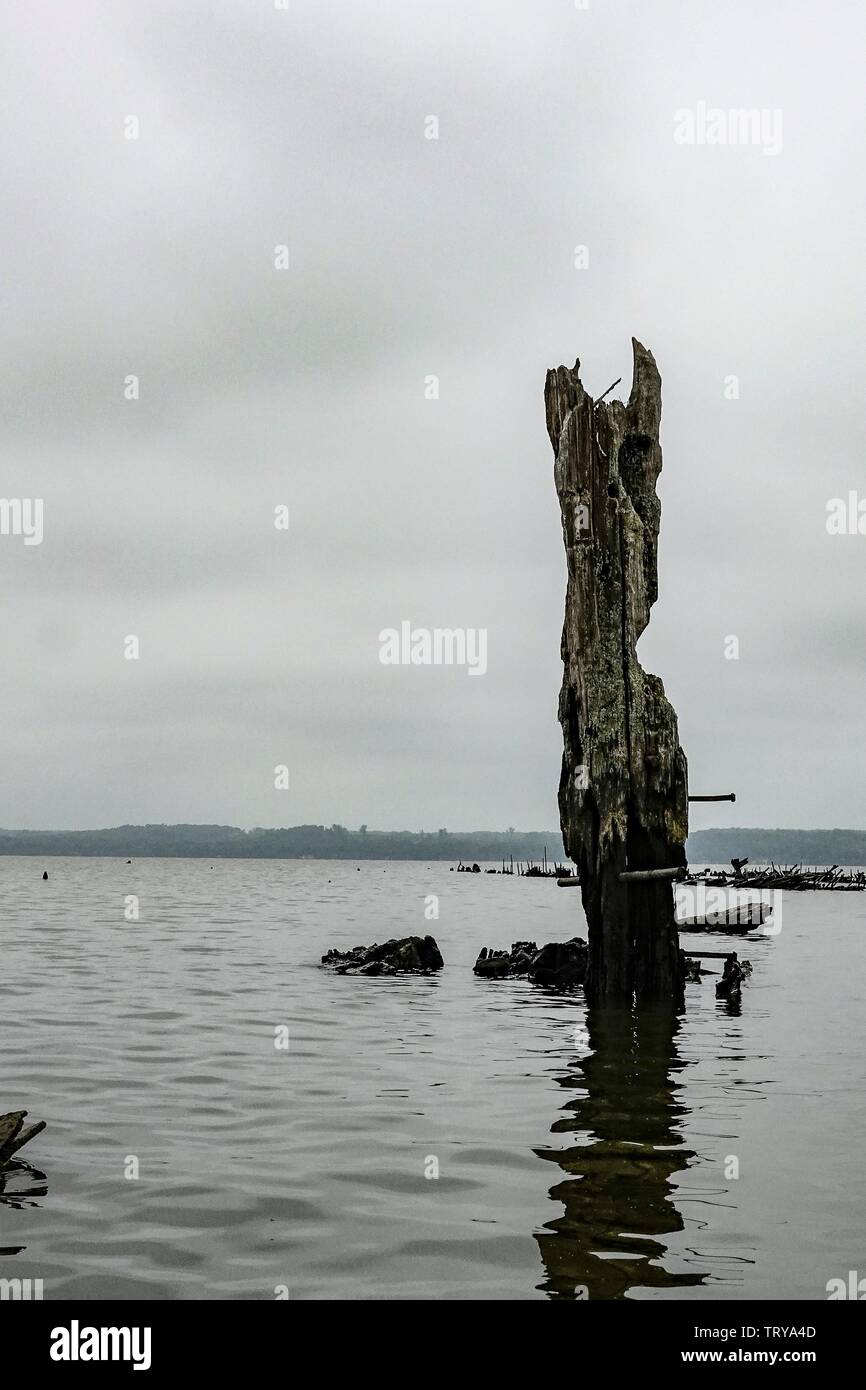 Mallows Bay, Maryland USA The ghost fleet of Mallows Bay, a collection ...