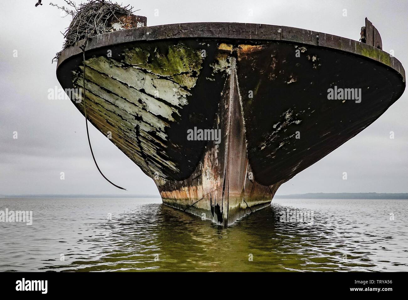 Mallows Bay, Maryland USA The ghost fleet of Mallows Bay, a collection ...