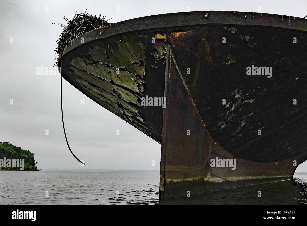 Mallows Bay, Maryland USA The ghost fleet of Mallows Bay, a collection ...