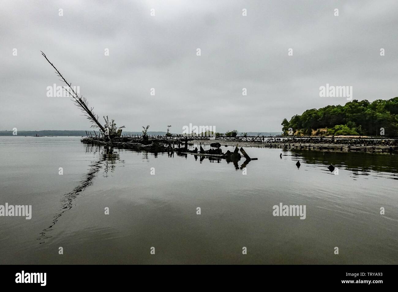 Mallows Bay, Maryland USA The ghost fleet of Mallows Bay, a collection ...
