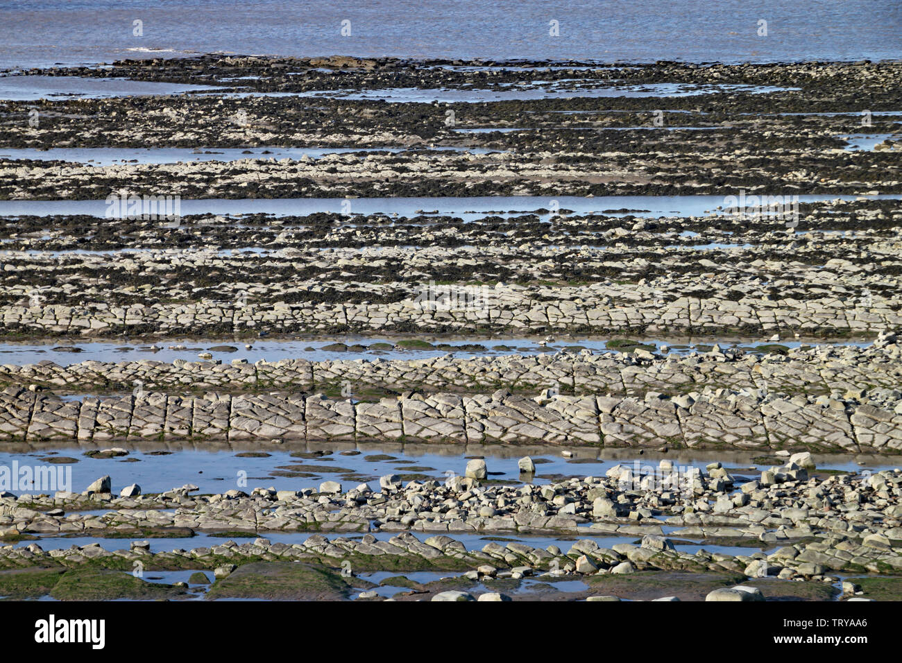 East Quantoxhead beach, Somerset. Limestone pavements from the Jurassic ...