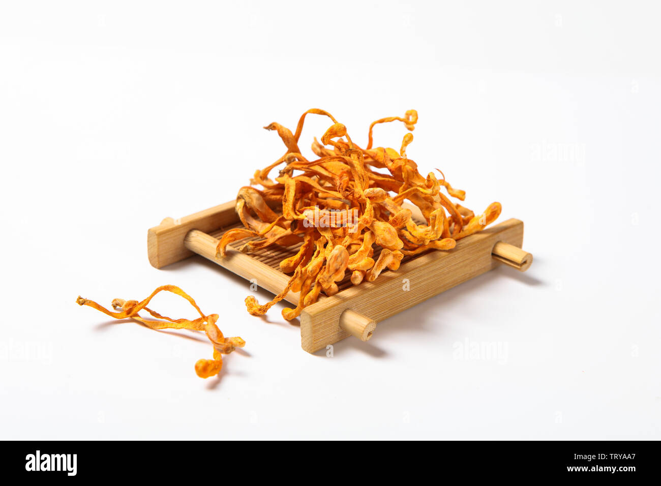 Cordyceps flower white background illustration Stock Photo - Alamy