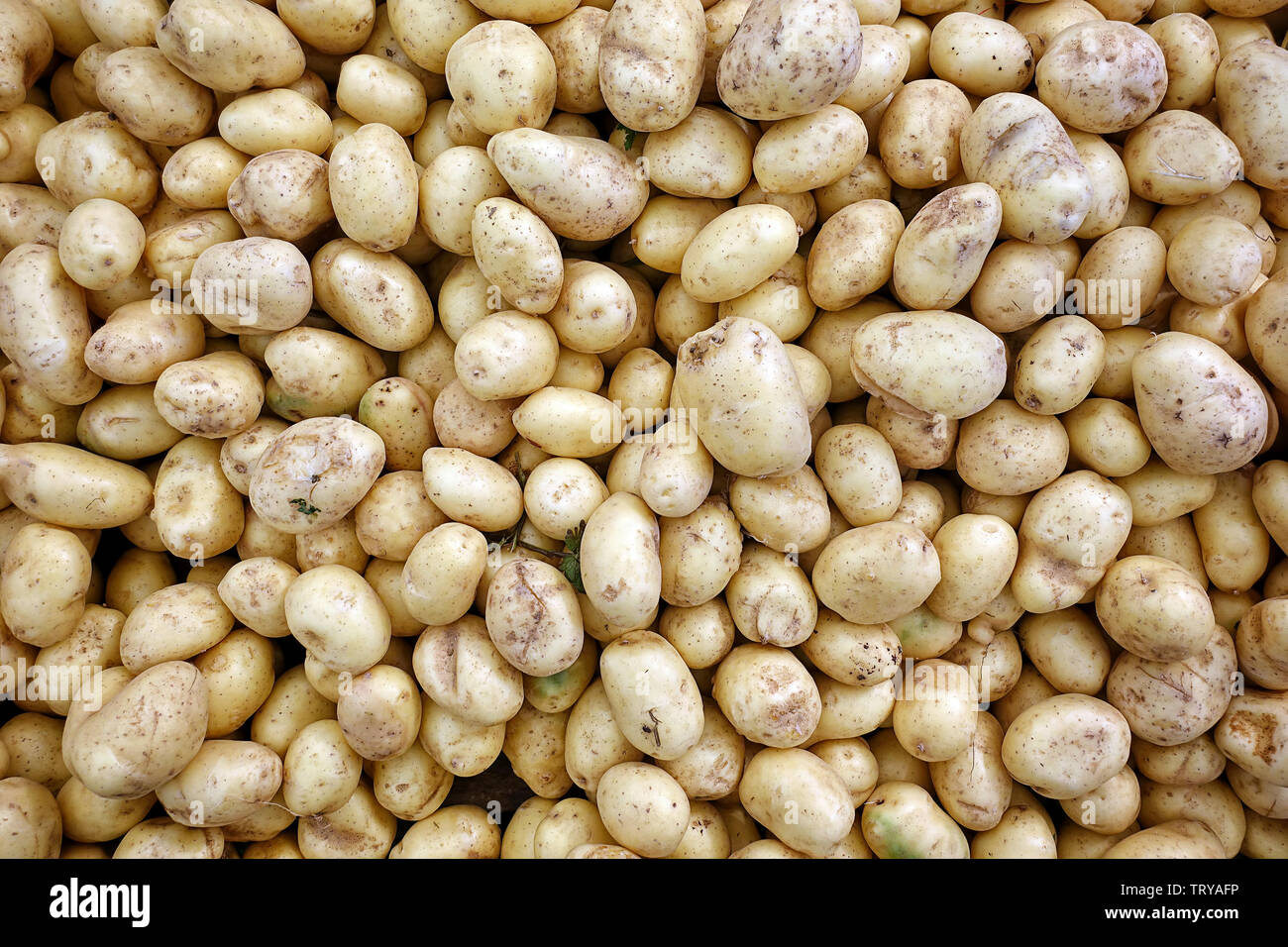 Fresh Organic Vegetable Food Potato in Grocery Stock Photo - Alamy