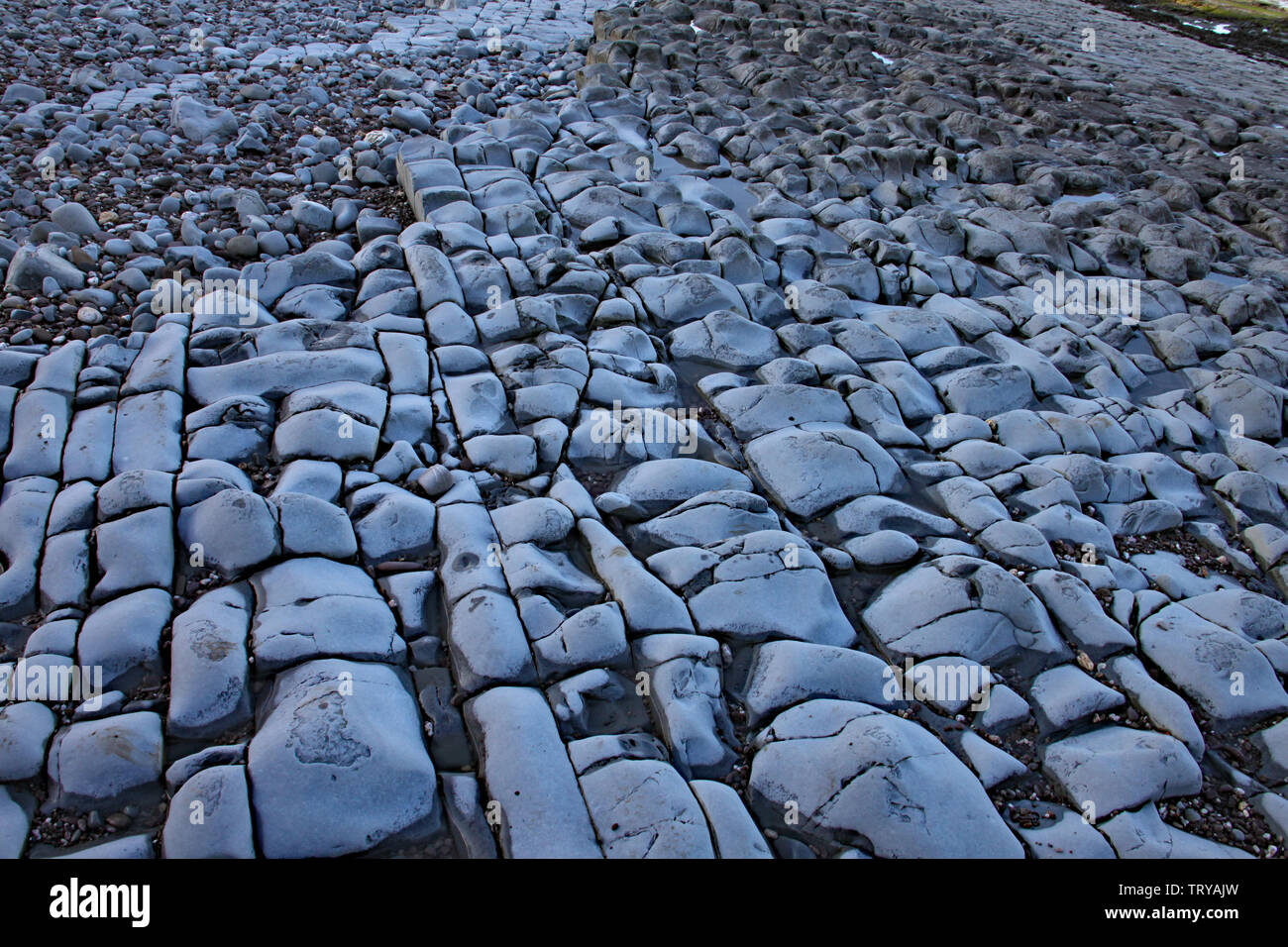 East Quantoxhead beach, Somerset. Limestone pavements from the Jurassic ...