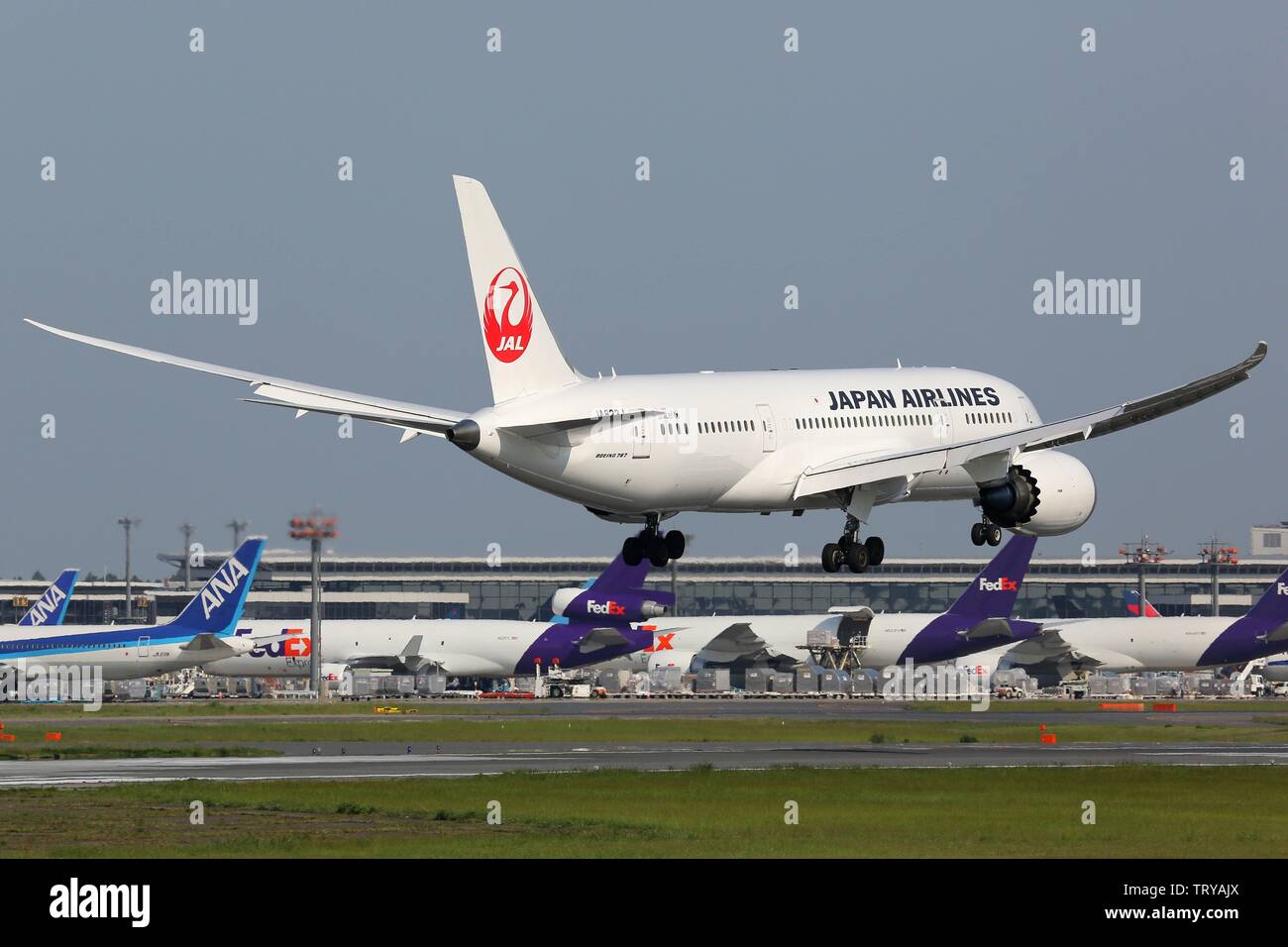 Tokyo, Japan – 16. May 2014: JAL Japan Airlines Boeing 787-8 at Tokyo ...