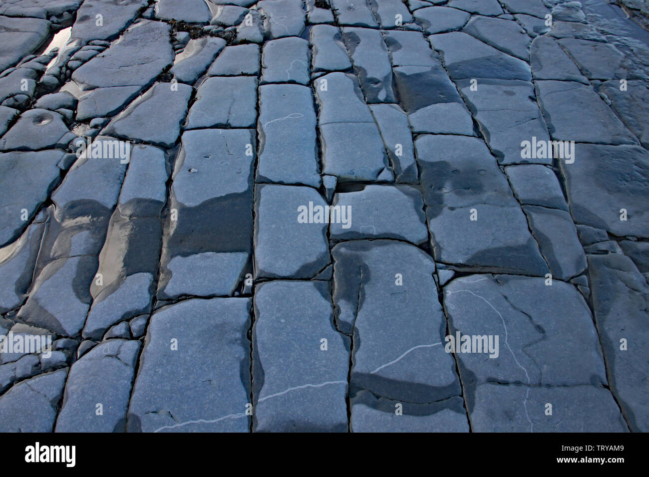 East Quantoxhead beach, Somerset. Limestone pavements from the Jurassic ...