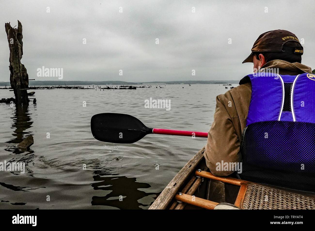 Mallows Bay, Maryland USA A young man canoeing through the ghost fleet ...