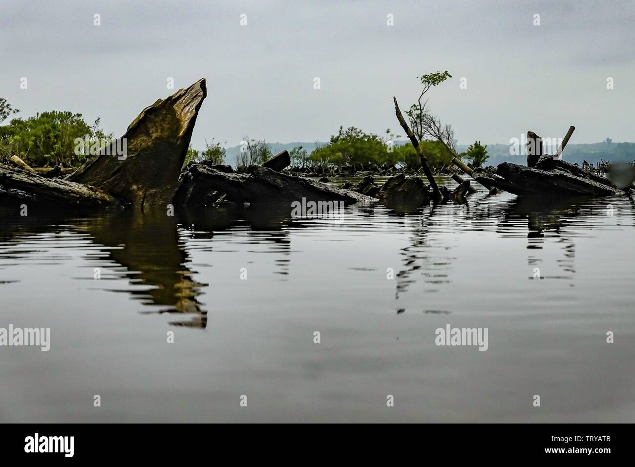 Mallows Bay, Maryland USA The ghost fleet of Mallows Bay, a collection ...