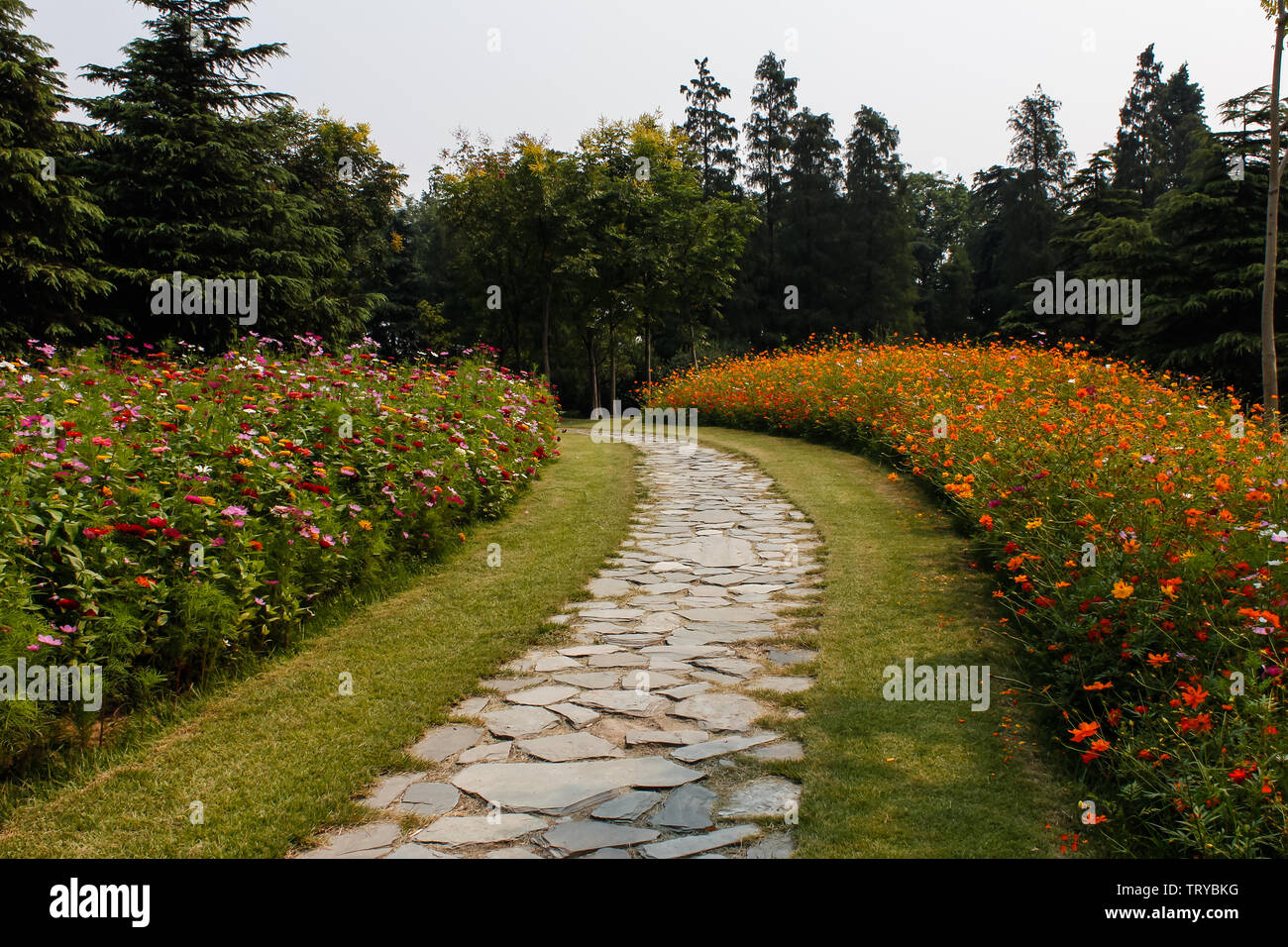 Binjiang park hi-res stock photography and images - Alamy