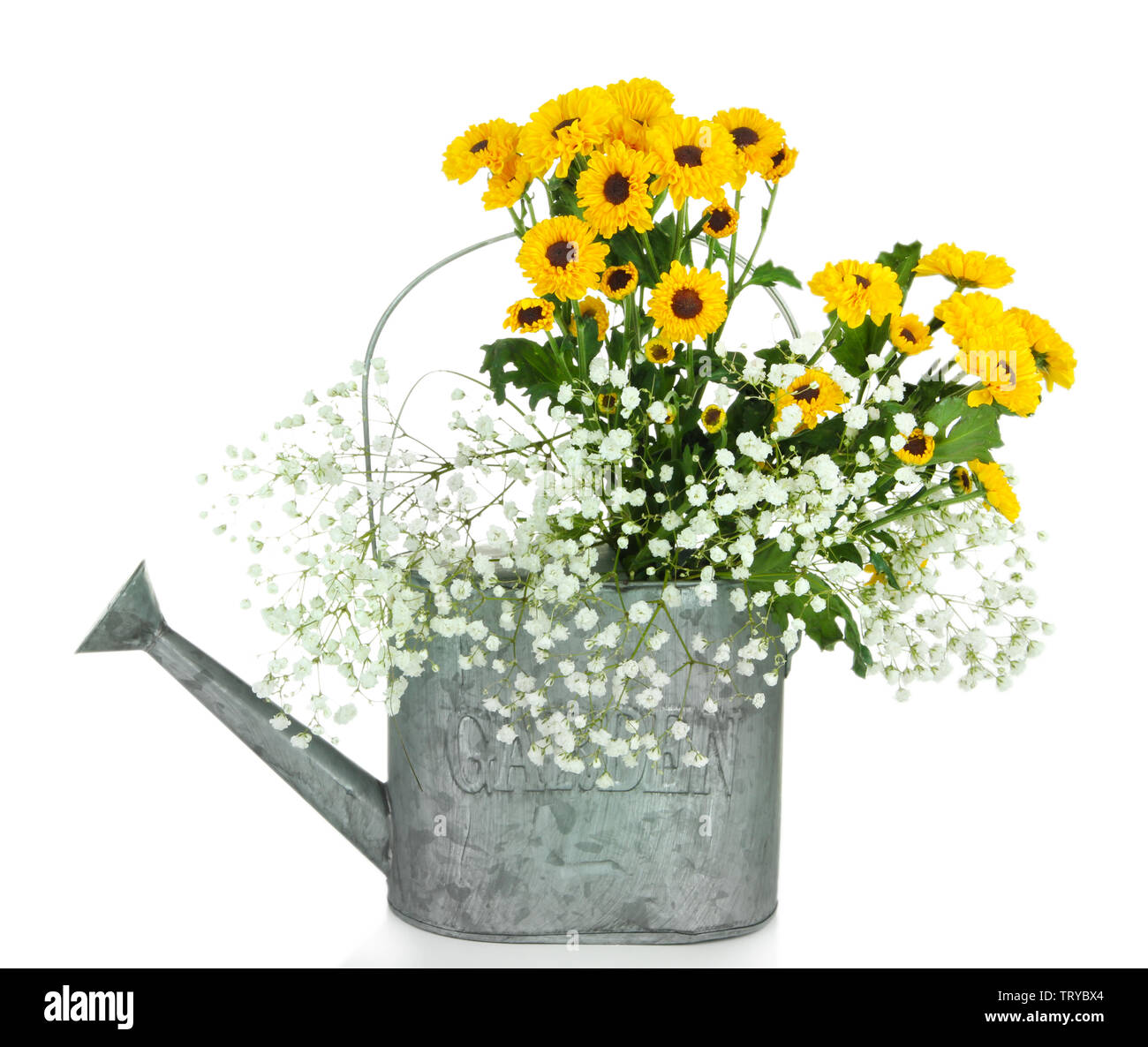 Beautiful flowers in water can isolated on white Stock Photo - Alamy