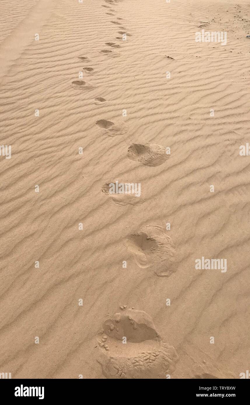 A desert, a vast expanse of yellow sand, a blue sky, endless, giving ...