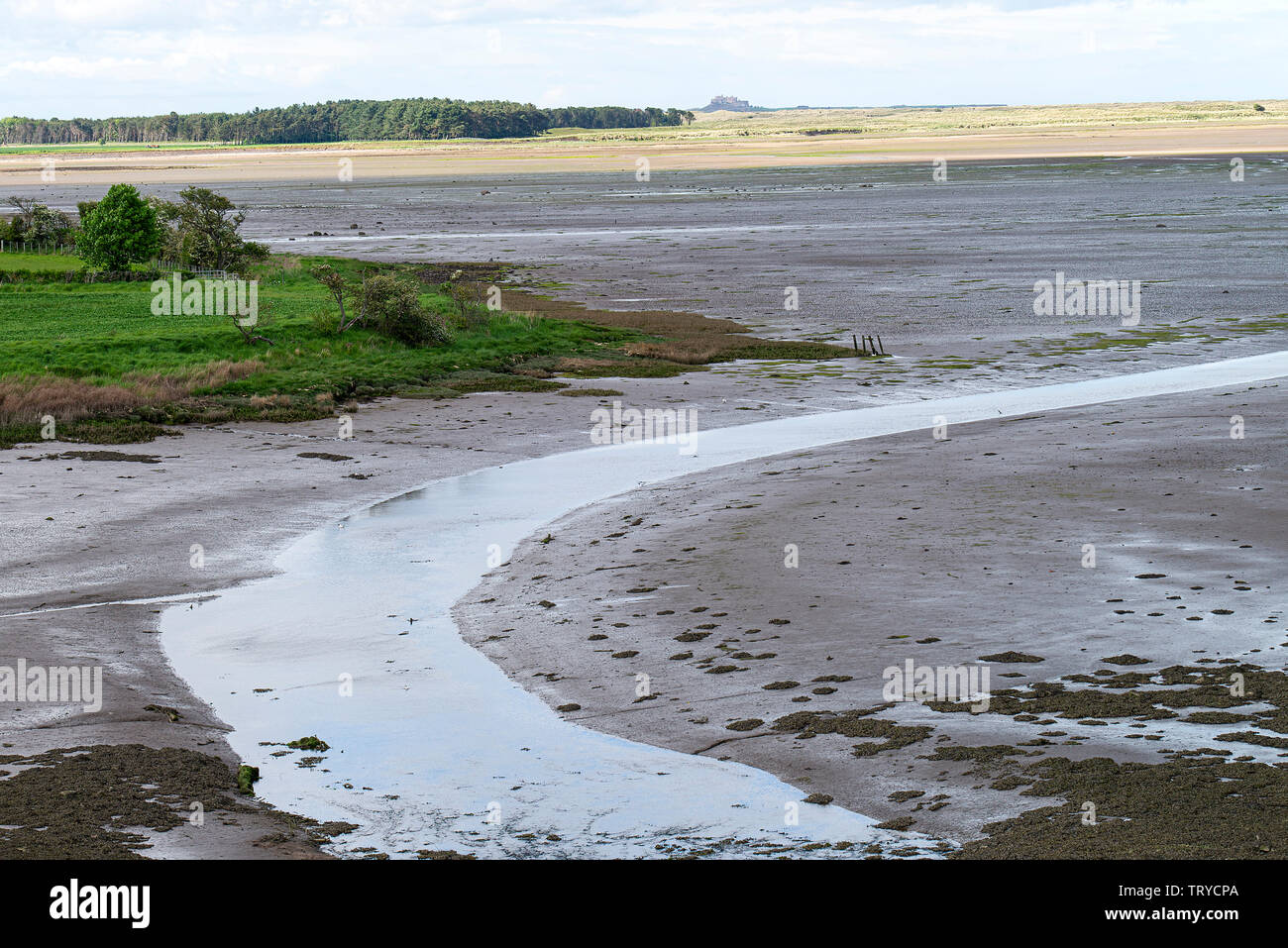 The Beautiful Budle Bay Part of Lindisfarne National Nature Reserve ...