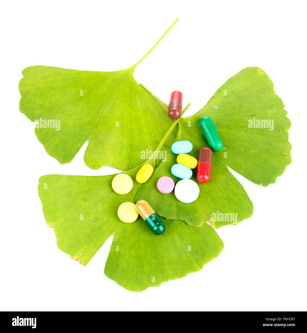 Ginkgo biloba leaves and pills isolated on white Stock Photo - Alamy
