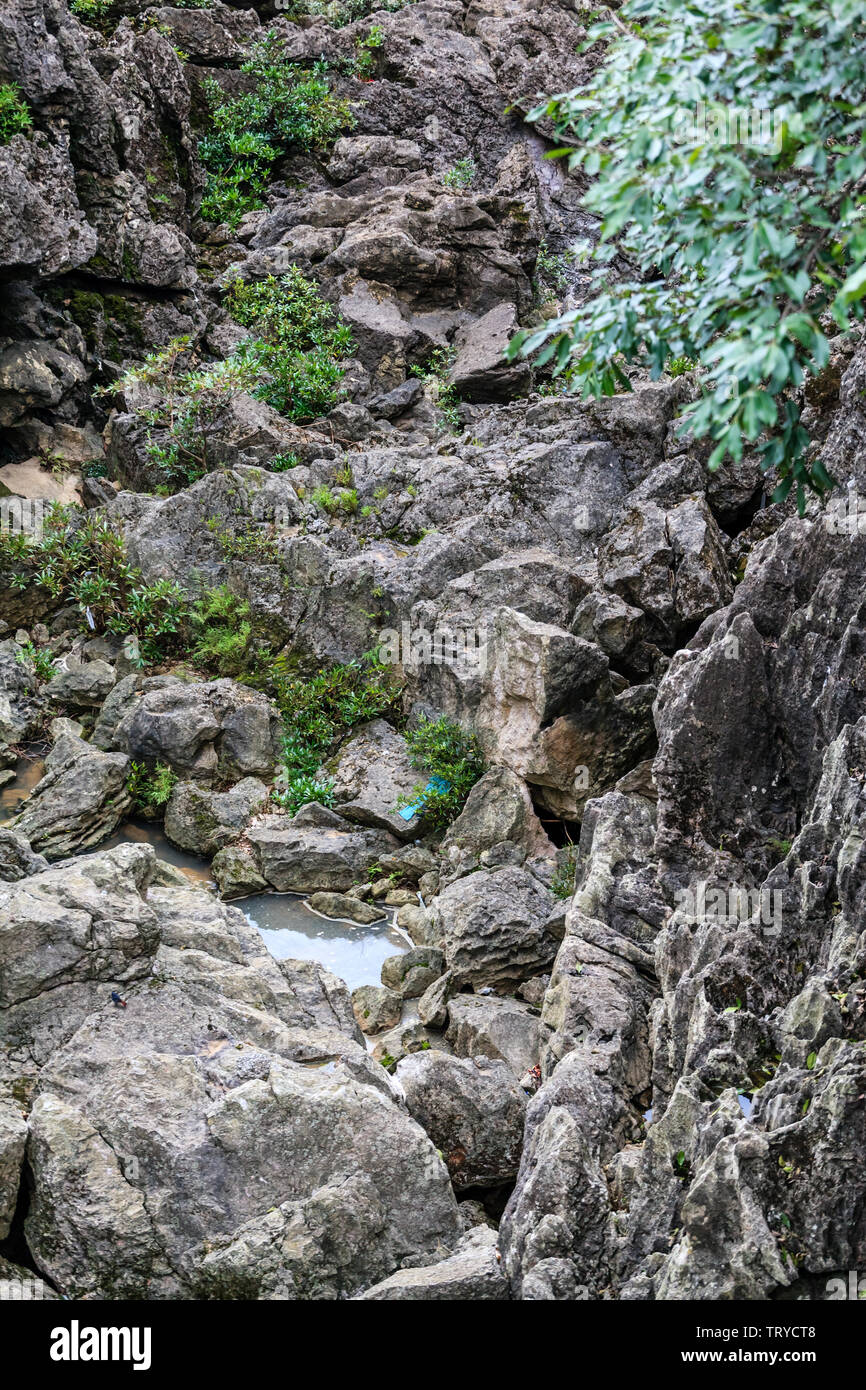 Tianxing lake hi-res stock photography and images - Alamy