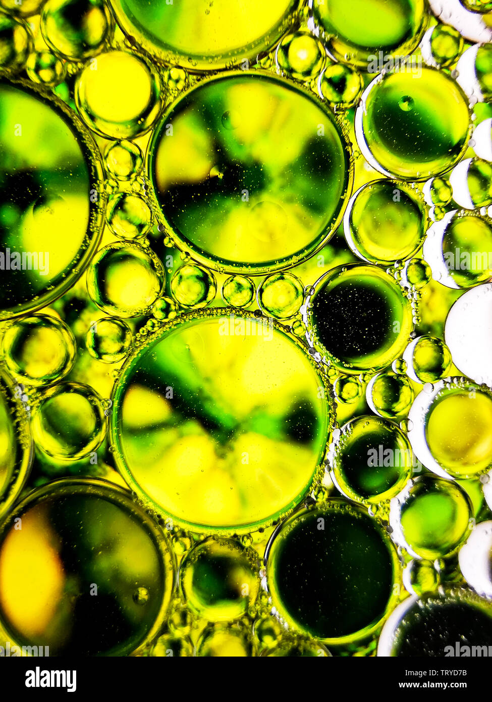 green abstract oil bubbles pattern textures macro for backgrounds Stock ...