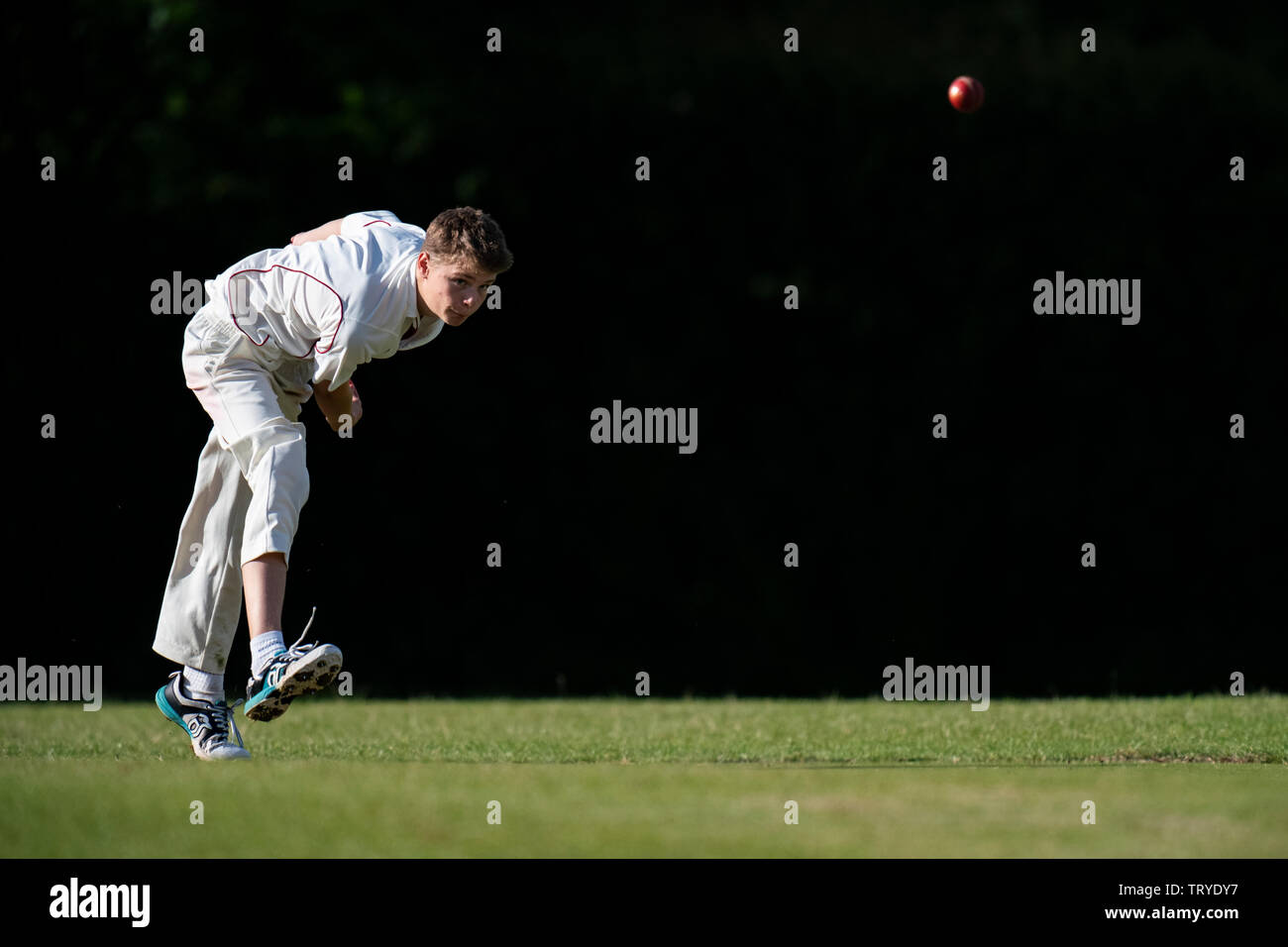 Cricket, bowler in action Stock Photo - Alamy