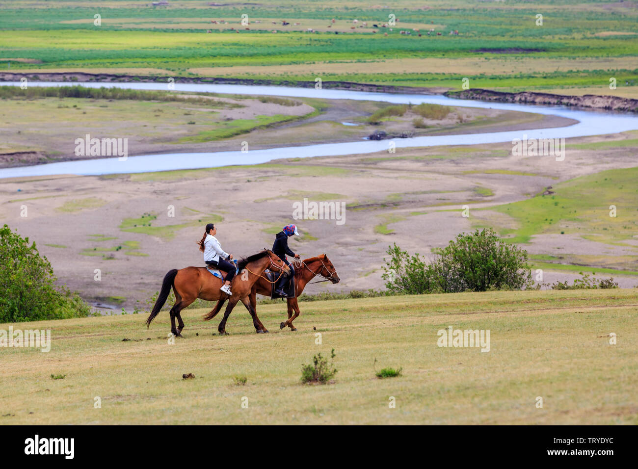 Hulunbuir Bayan Hushuo Mongolian tribe, Inner Mongolia Stock Photo - Alamy
