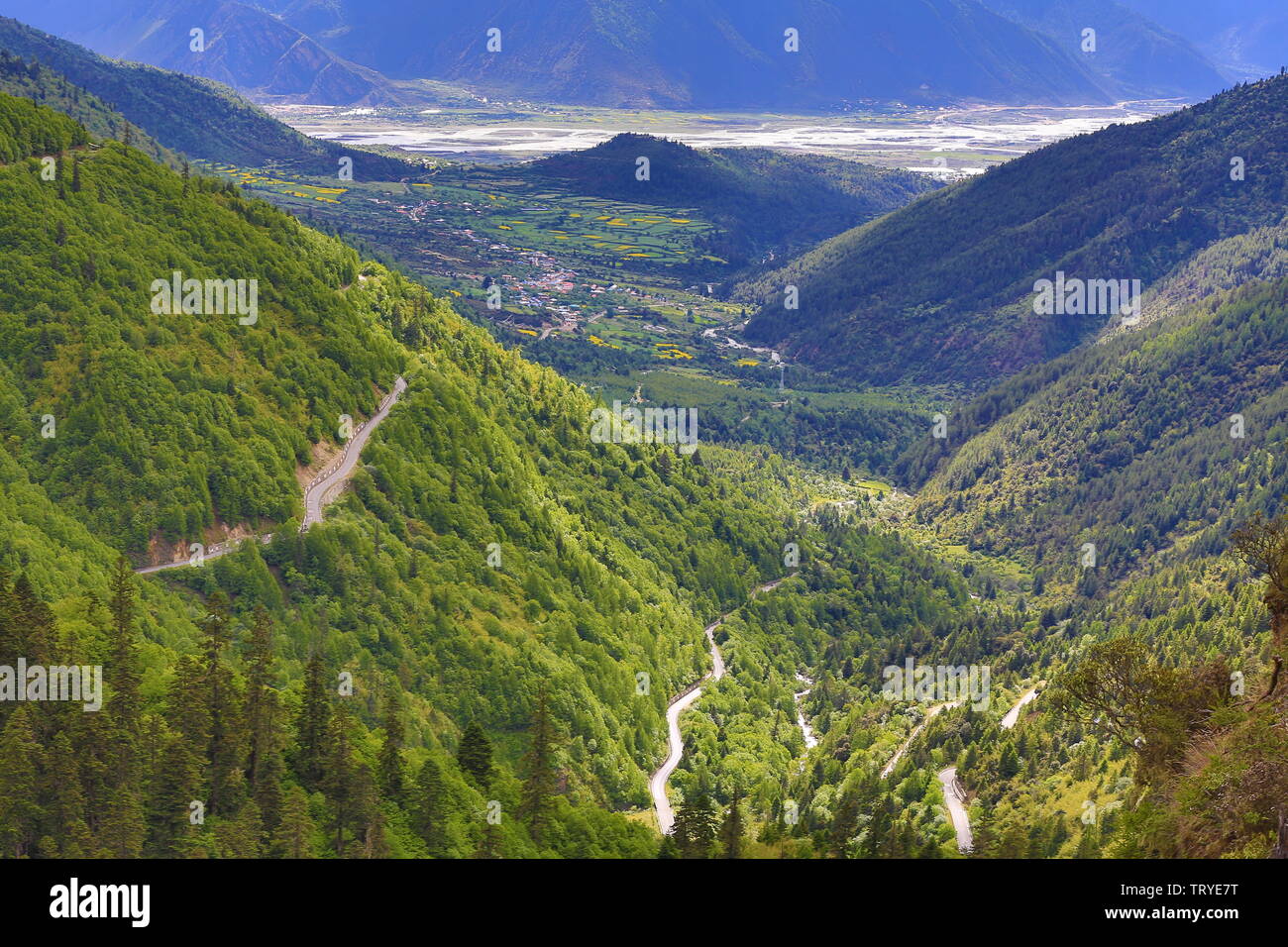 Scenery of Yingzhi Lulang Linhai, Tibet Autonomous Region, China Stock ...