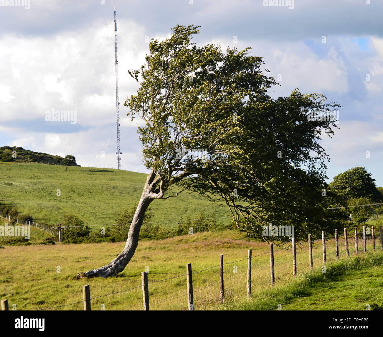 View from Moel Y Parc across the Clwydian Range of mountains in North ...