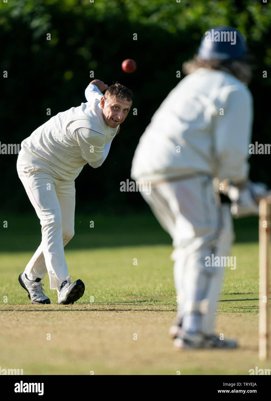 Cricket, bowler in action Stock Photo - Alamy