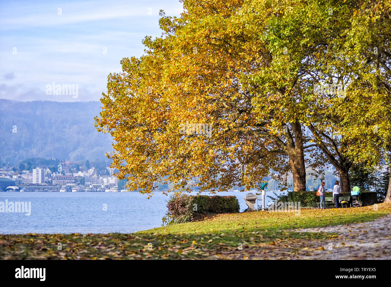 Scenery of Lake Zurich, Switzerland Stock Photo - Alamy