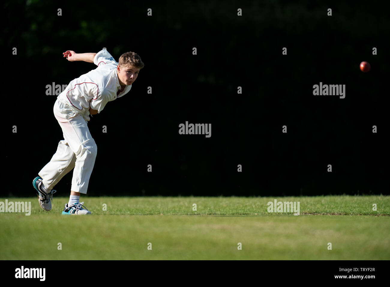 Cricket, bowler in action Stock Photo - Alamy