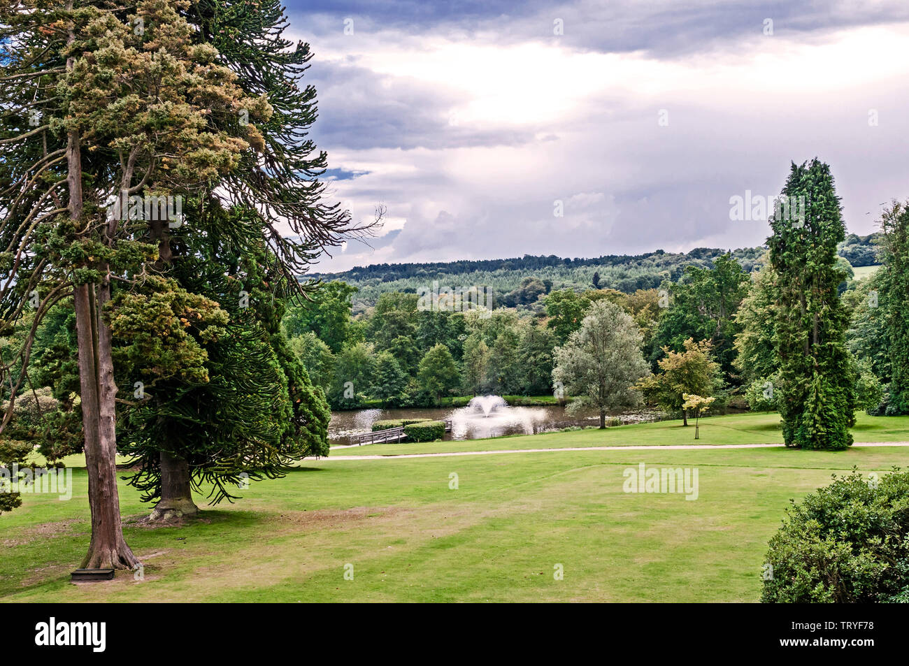 Ashdown park hotel in ashdown hi-res stock photography and images - Alamy