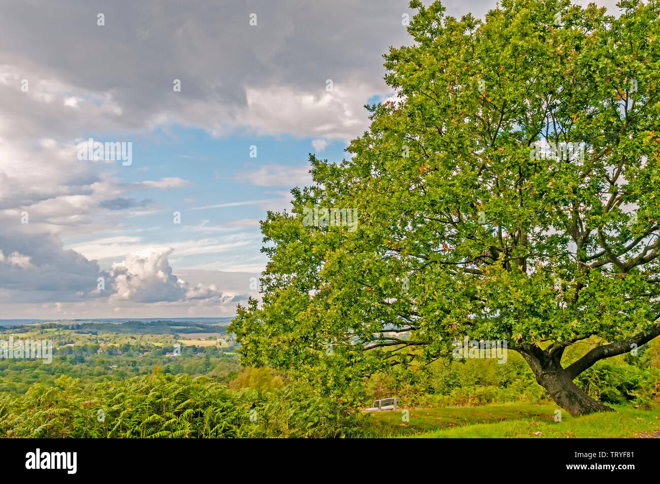 Ashdown Forest (East Sussex, England): View from south Stock Photo - Alamy