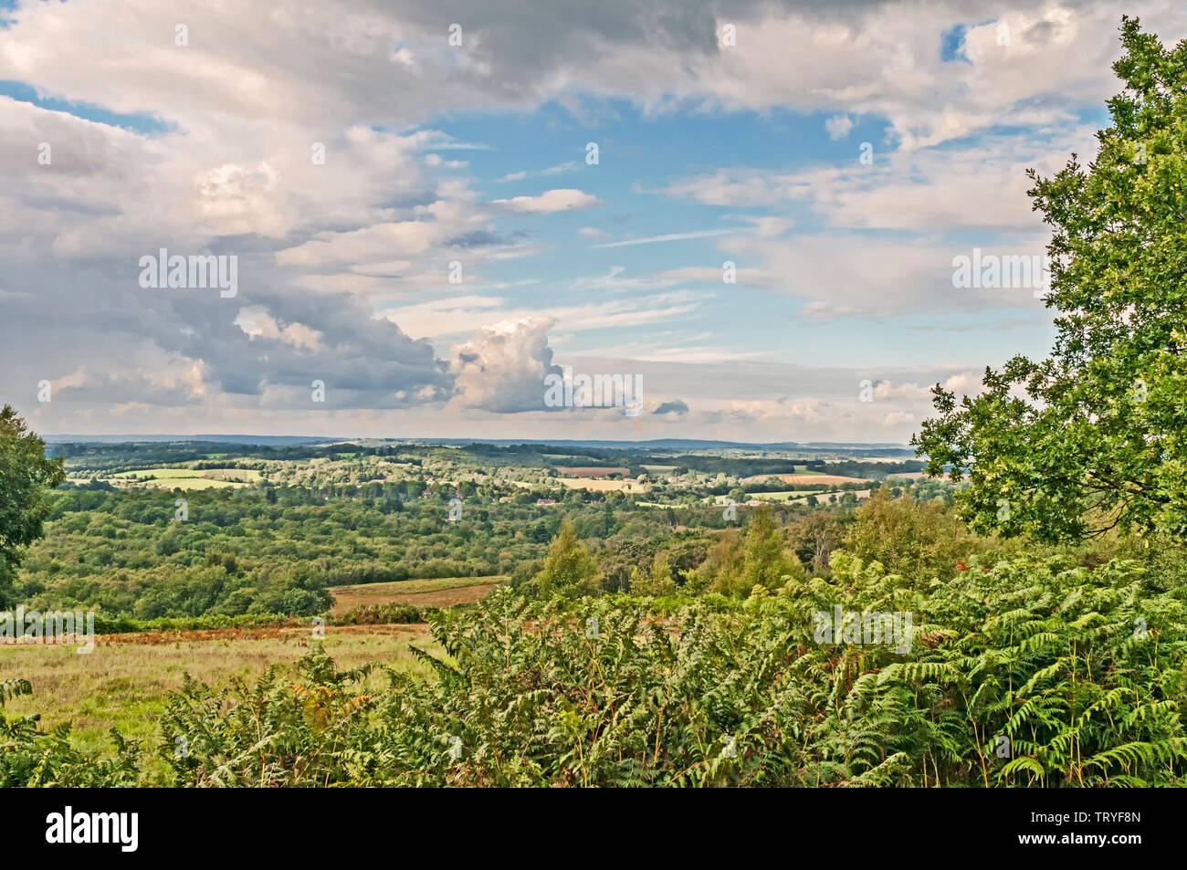 Christopher robin winnie the pooh hi-res stock photography and images ...